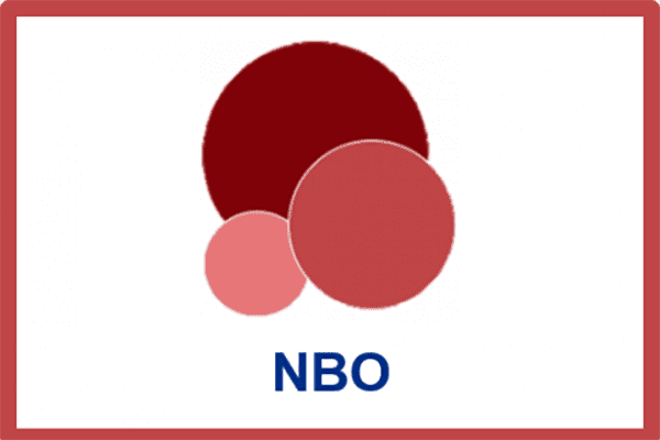 NBO Training GL - Learn with Us | Brazelton Touchpoints Center